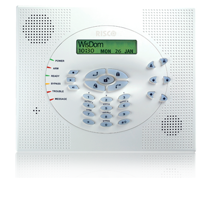 wisdom_cat2 | Maxwell Security System