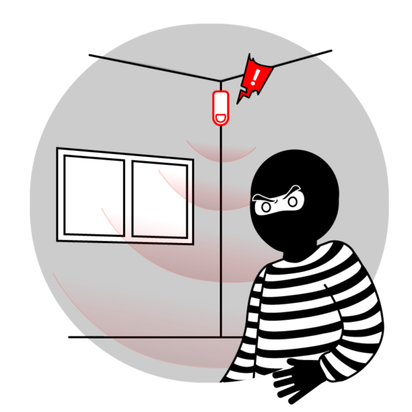 BWare™ DT | Maxwell Security System