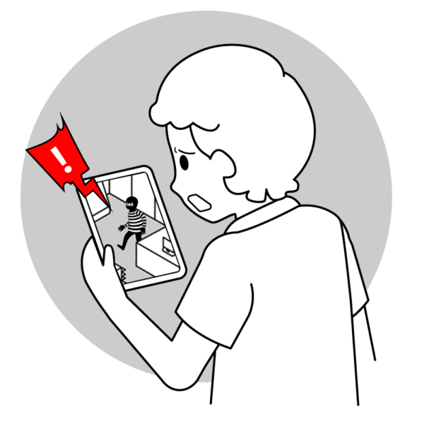 Beyond DT Wireless Outdoor Detector with Camera | Maxwell Security System