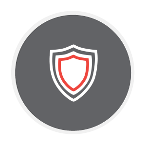 Advanced | Maxwell Security System