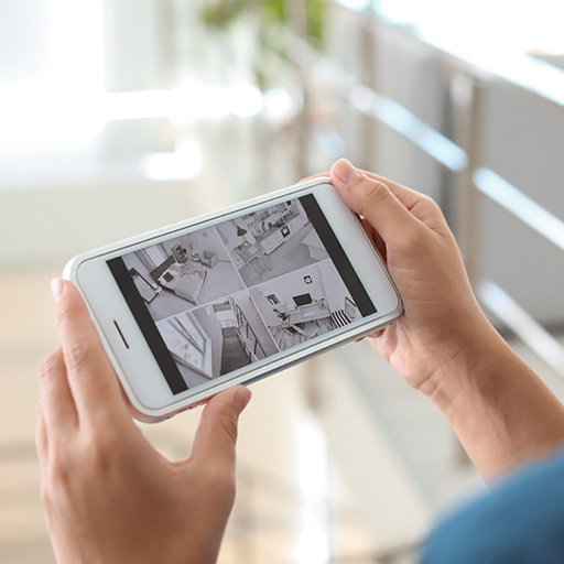 vu_main2 | Maxwell Security System