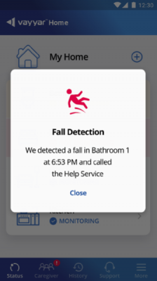 Vayyar Home | Maxwell Security System
