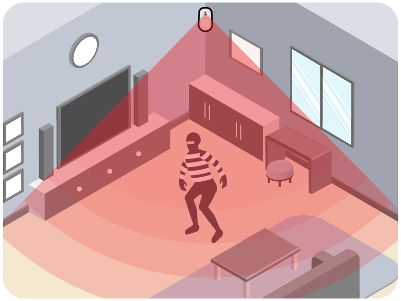 PIR | Maxwell Security System