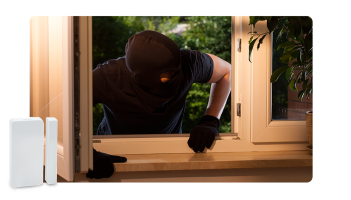 dw-pic | Maxwell Security System