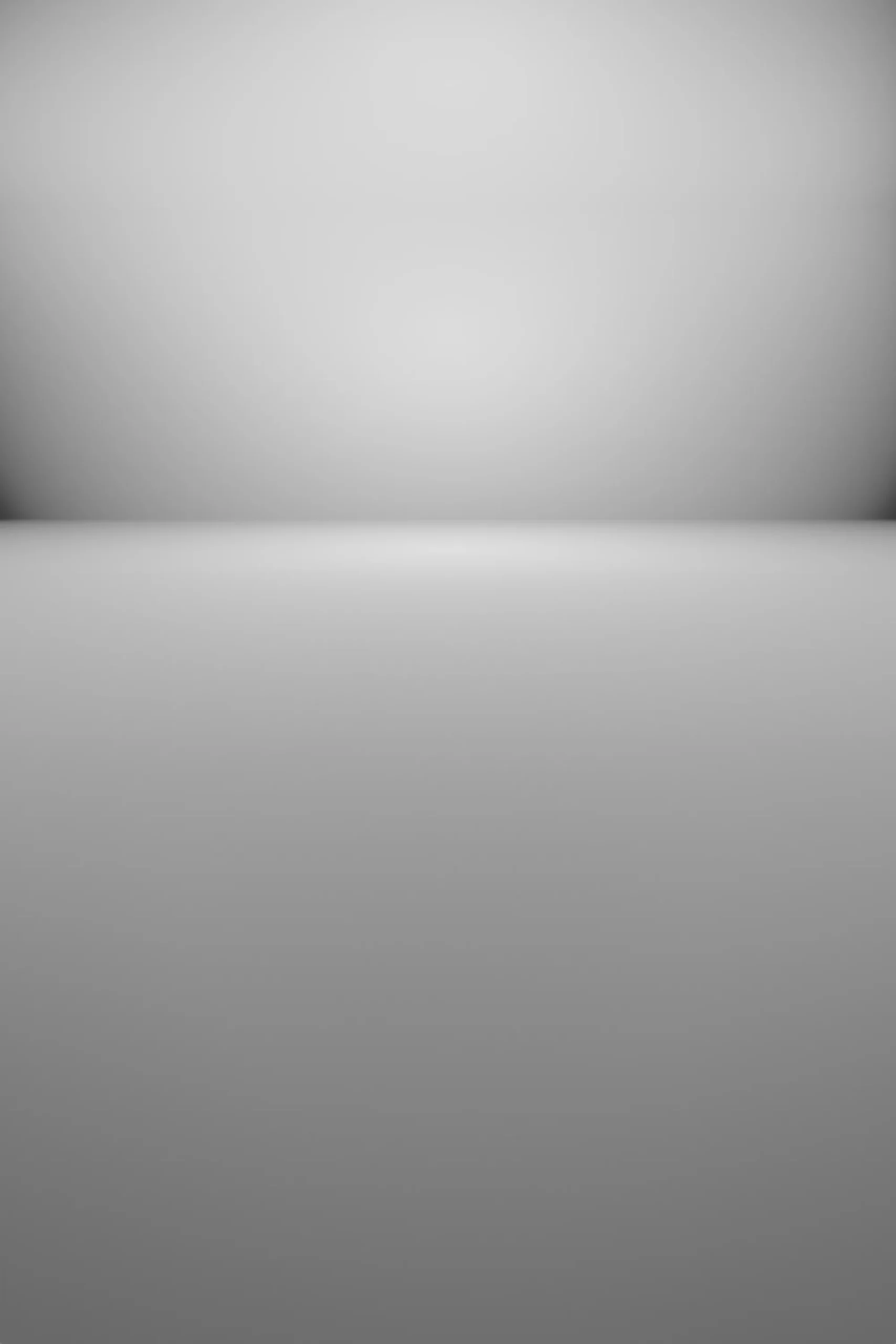 Layer-21 | Maxwell Security System