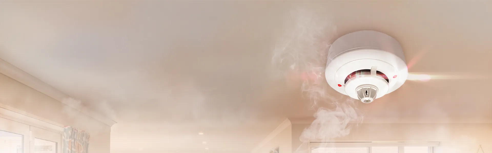 Smoke-+-Heat-Detector-home | Maxwell Security System