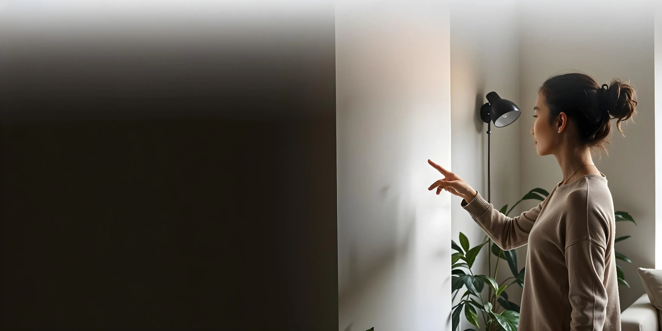 smh-bgicon_ | Maxwell Security System